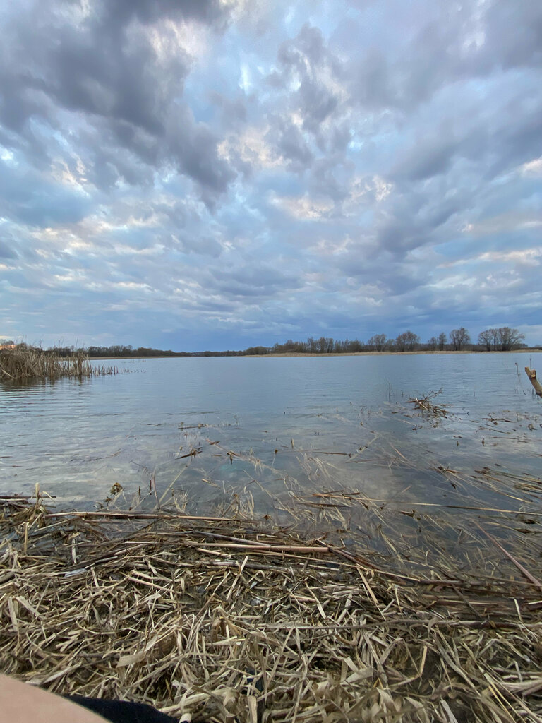 Plaj Пляж, Riazanskaya oblastı, foto
