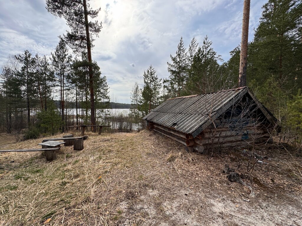 Resort oteller, tesisler Зимница, Nijegorodskaya oblastı, foto