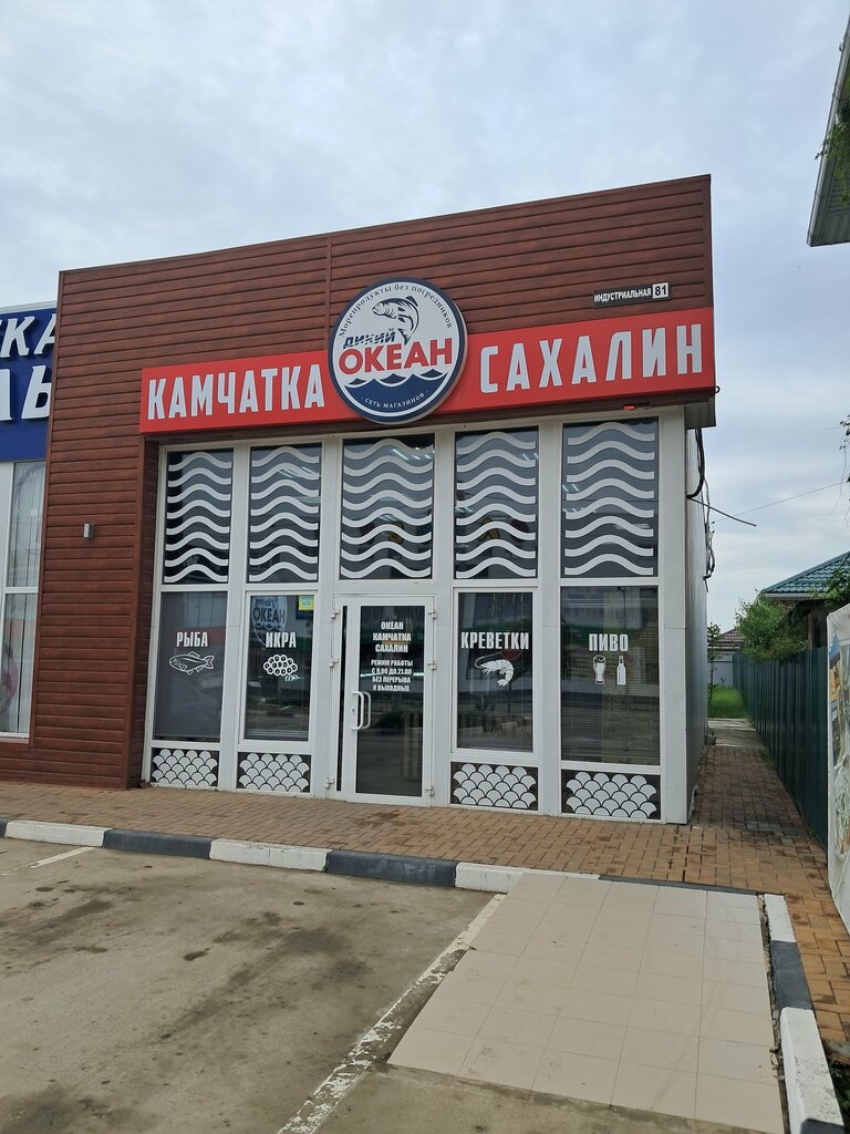 Balık ve deniz ürünleri Океан Камчатка Сахалин, Adıge Cumhuriyeti, foto