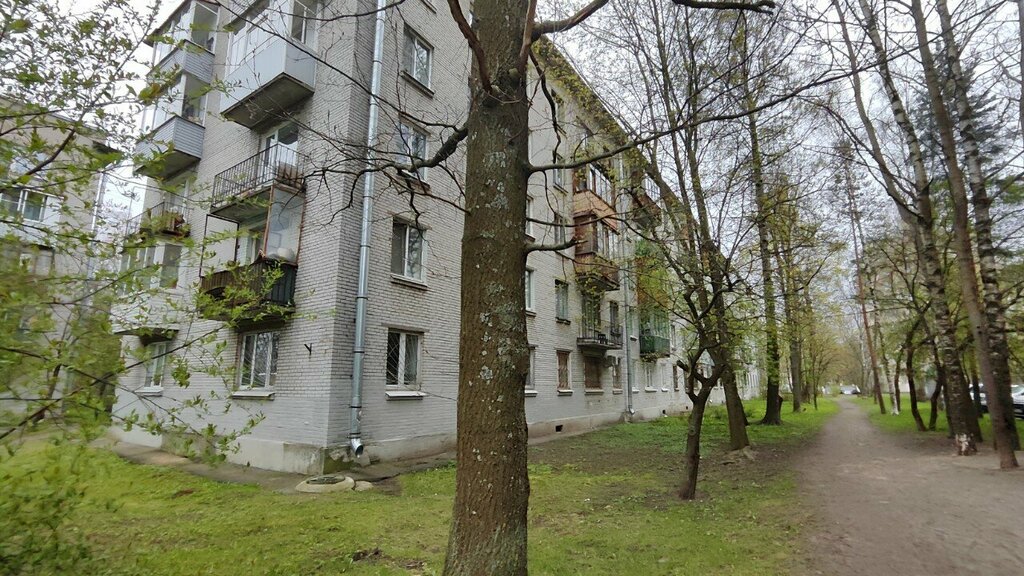 Nakliye firmaları Perevozka lesa, Puşkin, foto