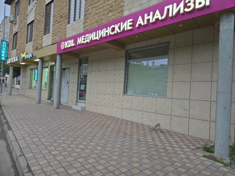 Tıbbi laboratuvarlar KDL, Makhachkala, foto