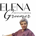 Groomer Devyatyarova E. (Teatralnaya ulitsa No:15), evcil hayvan kuaförleri  Kstovo'dan