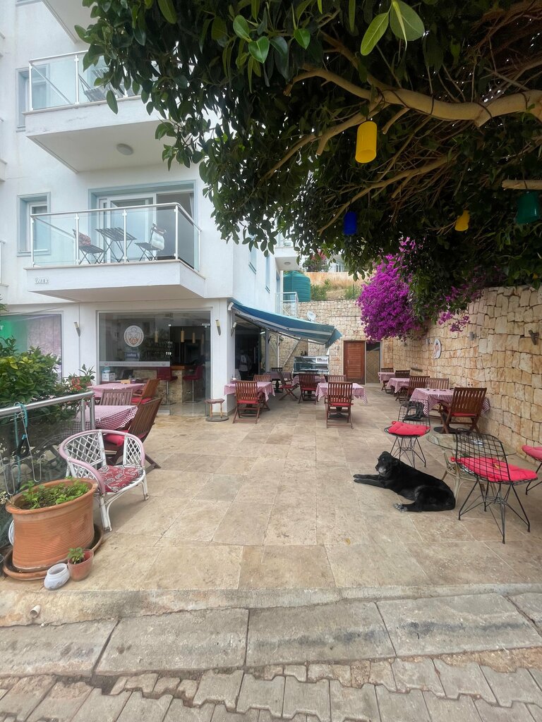 Kafe Кафе-бистро Каш Арена, Kaş, foto