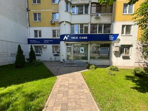 Apple Nice Case (Samara, 22 Partsyezda Street, 194), items for mobile phones  Samara'dan