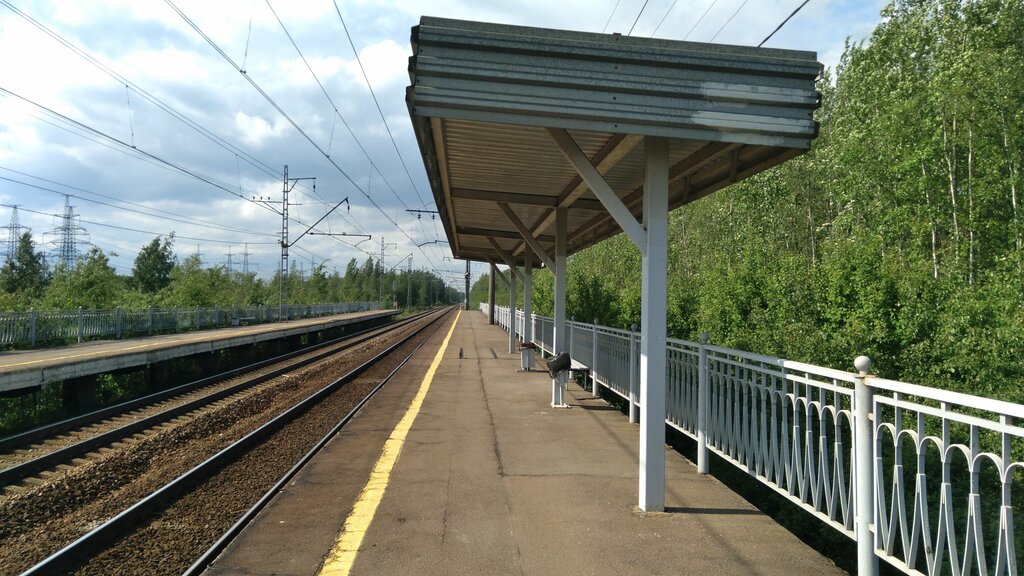 Tren istasyonu Колос (7 км), Saint‑Petersburg ve Leningradskaya oblastı, foto