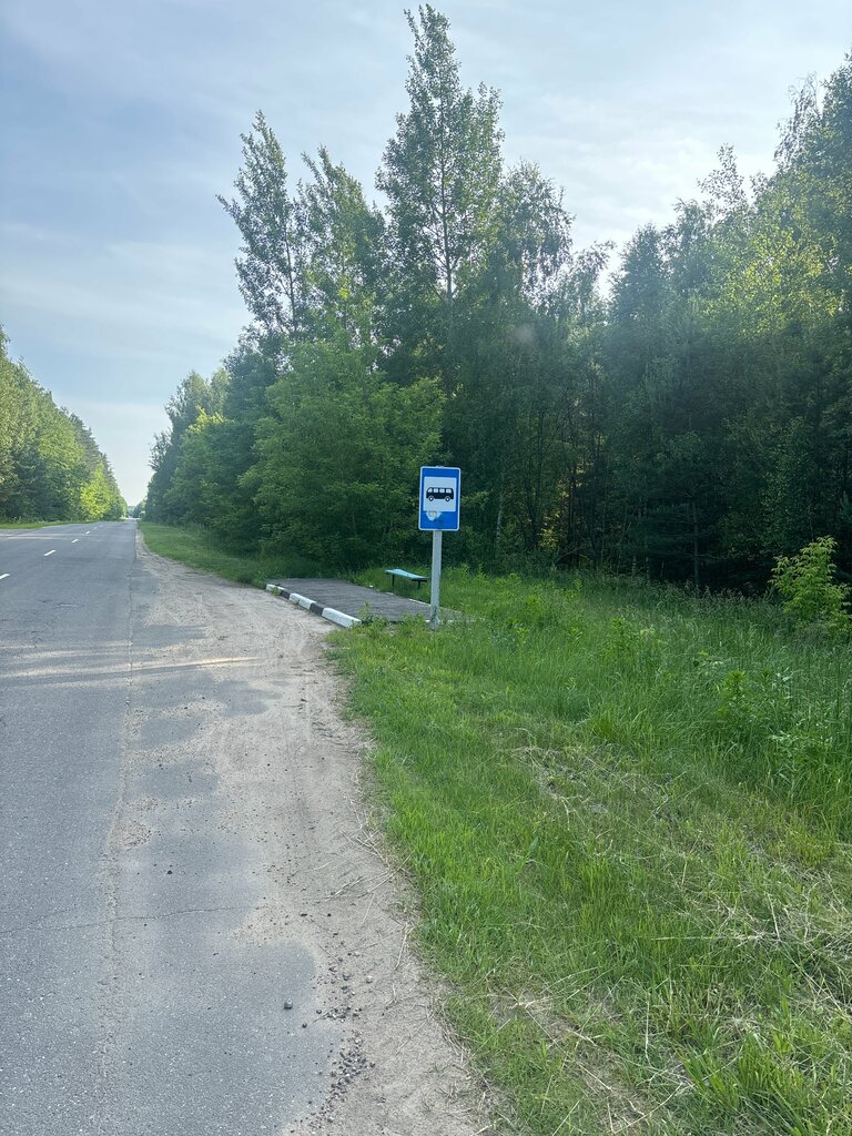 Toplu taşıma durağı Public transport stop, Mogiliovskaya oblastı, foto