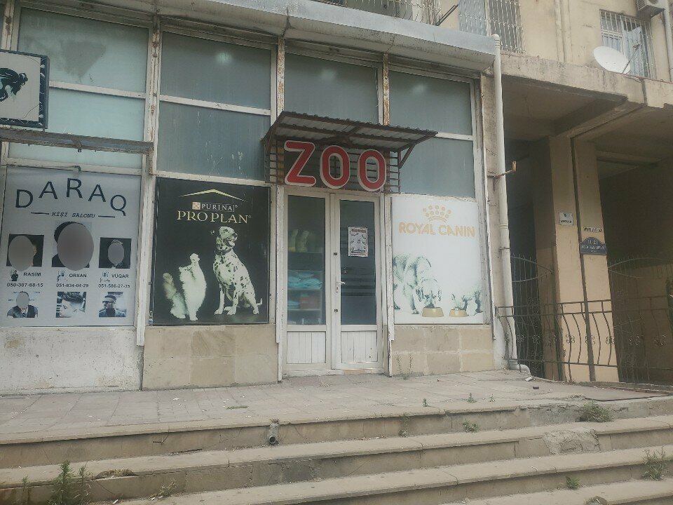 Petshop Zoo, Bakü, foto
