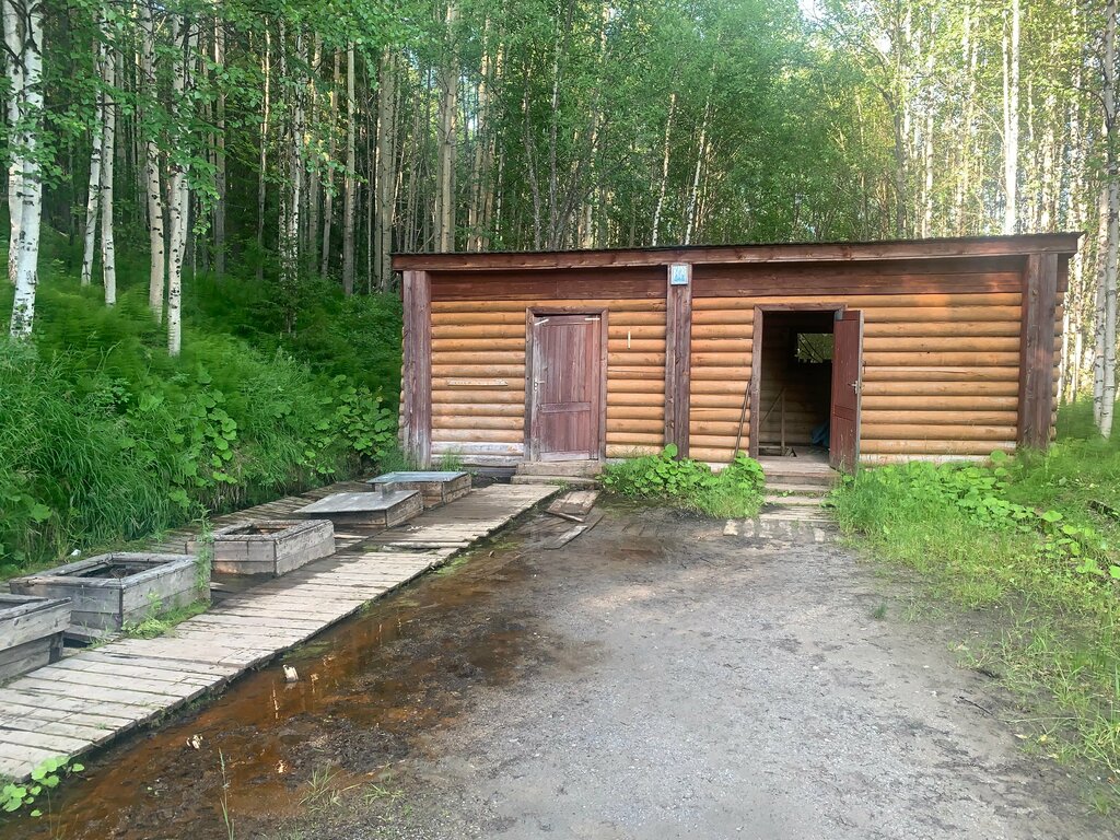 Pınar, çay Святой источник Иоанна Тобольского, Hantı‑Mansi Özerk Okrugu, foto