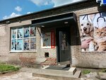 Amigo (Molodyozhnaya Street No:6), petshop  Cherepovets'ten