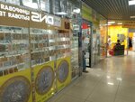 Magazin kollektsionnykh tovarov (Radishcheva Street No:39), nümismatik dükkanları  Ulyanovsk'tan