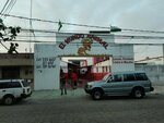 Veterinaria El Mundo Animal (Santa Cruz de la Sierra, Distrito Municipal 11, Subdistrito 5), veteriner klinikleri  Santa‑Krus'tan