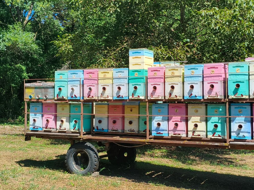 Bal ve arıcılık firmaları Мëд Павленко, Krasnodarski krayı, foto