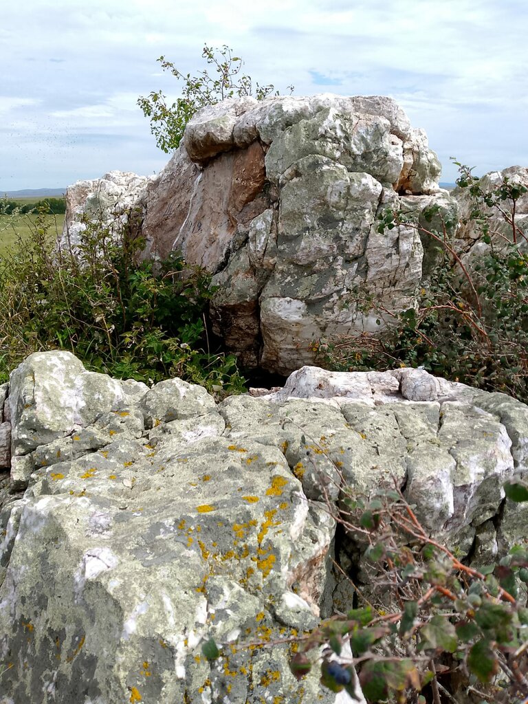 Dağ zirvesi Сопка Белый Камень 396.4 метров, Altayski krayı, foto