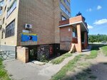 Yurchenko Dojo (Frunze Street No:35), spor kulüpleri  Tolyatti'den (Togliatti'den)