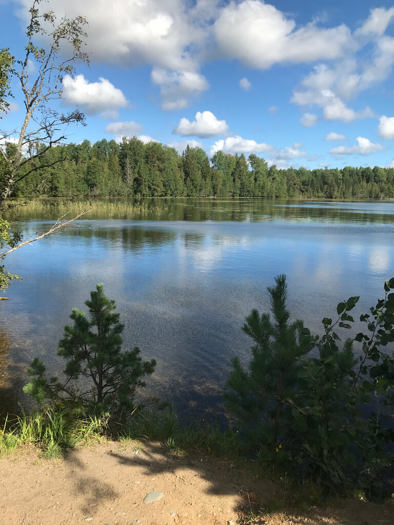 Plaj Пляж, Saint‑Petersburg ve Leningradskaya oblastı, foto