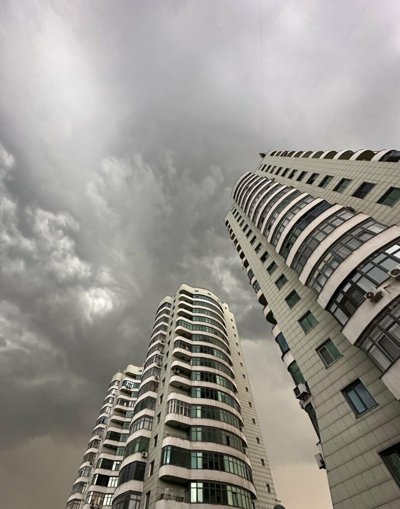 Danışmanlık hizmetleri Qbi Analytics, Almatı, foto