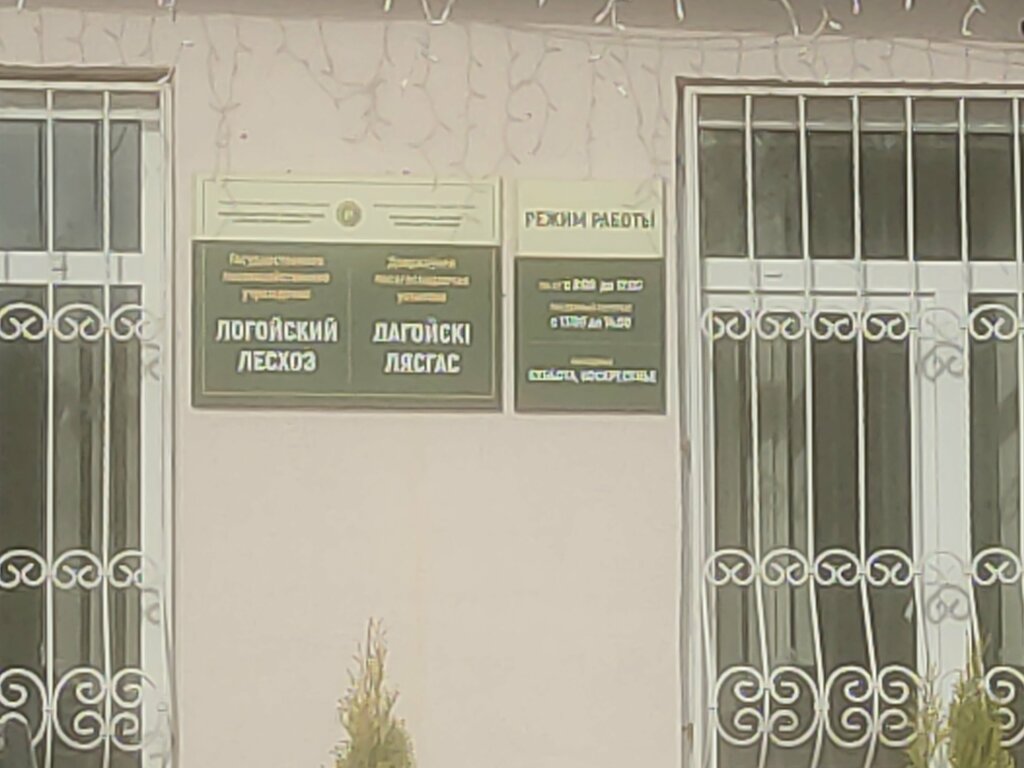 Orman işleri Логойский лесхоз, Logoysk, foto