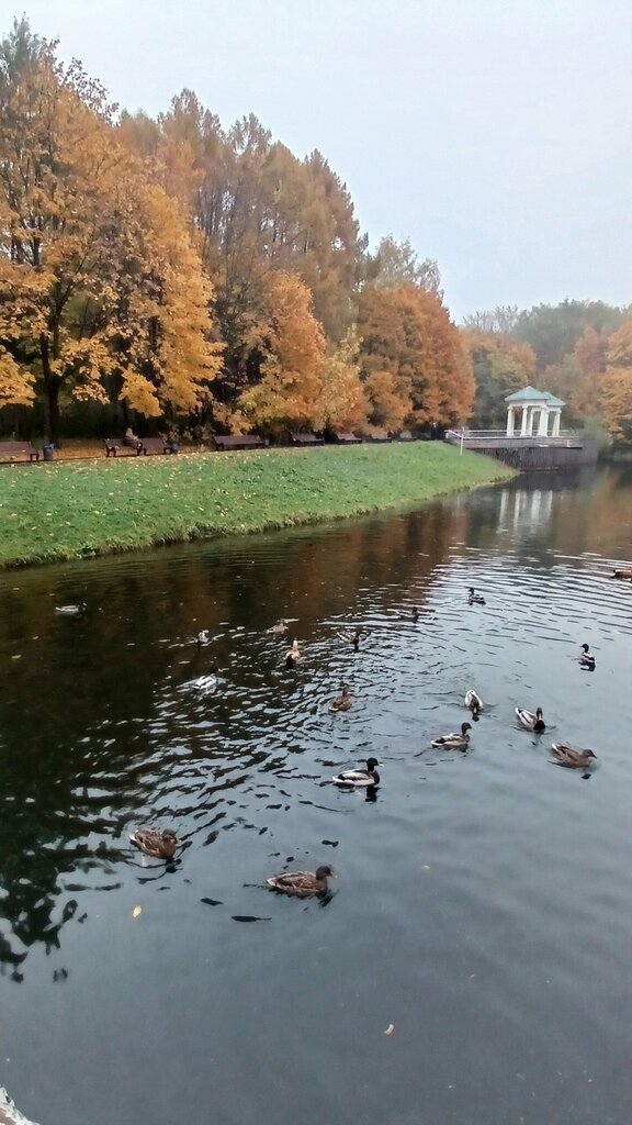 Turistik yerler Ротонда, Moskova, foto
