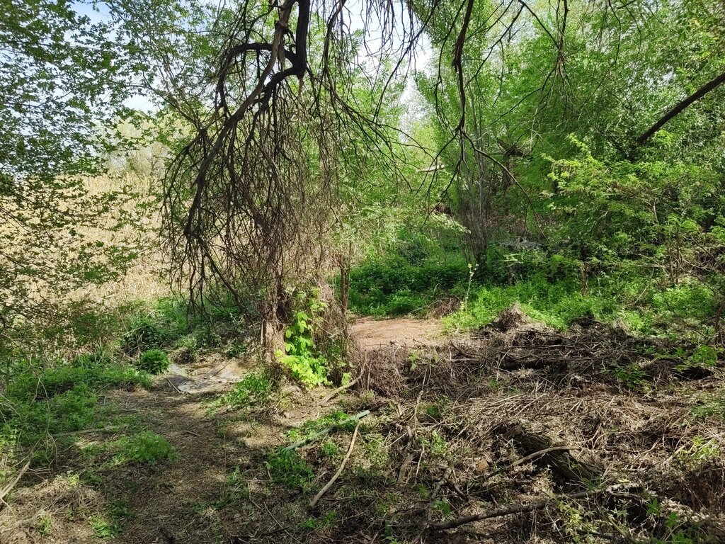 Pınar, çay Spring, stream, Volgograd, foto