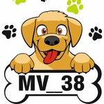 Помоги выжить (No:6, Pervy promyshlenny massiv, 48-y kvartal), hayvan barınakları, kulüpleri ve otelleri  Angarsk'tan
