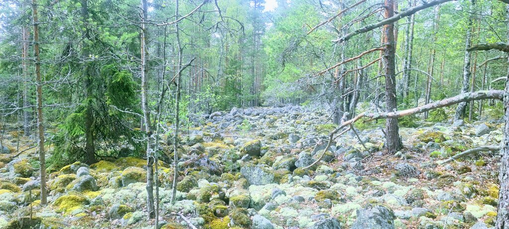 Dağ zirvesi Высота 76 метров, Pitkyaranta, foto