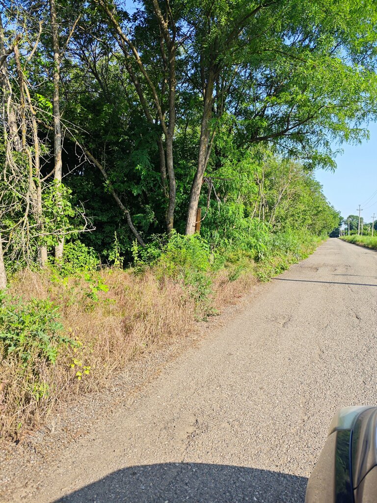 Kültür ve eğlence parkları сквер Зелёный Берег, Krasnodarski krayı, foto