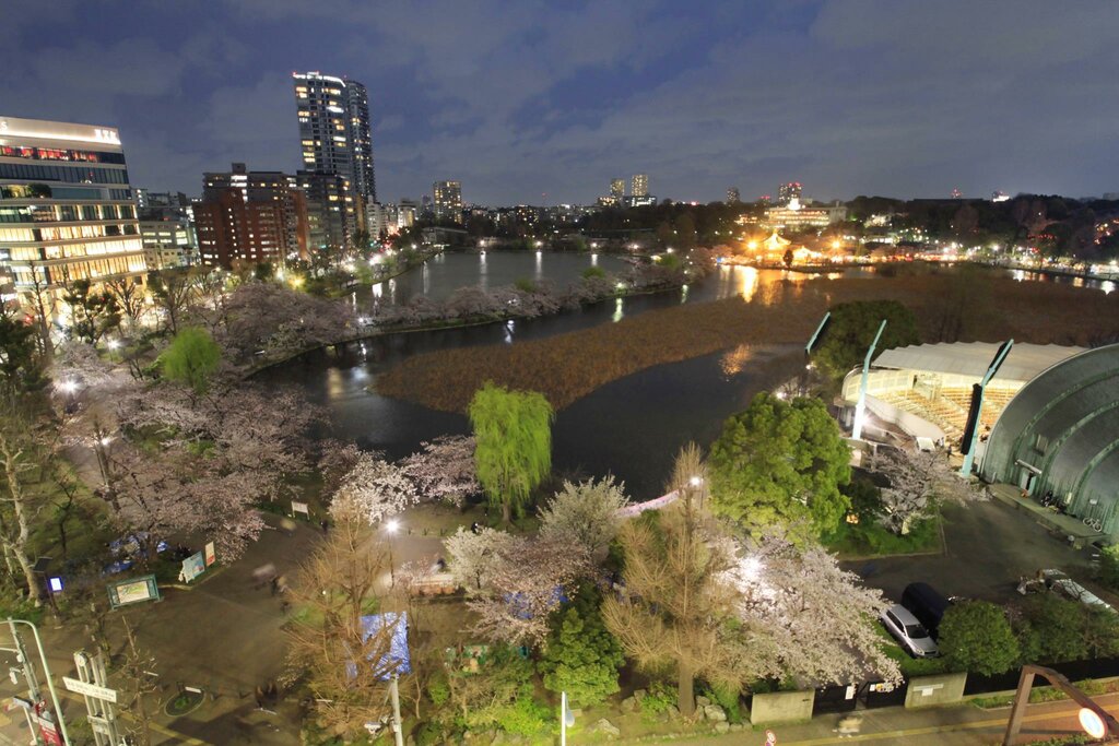 Otel Centurion Hotel Ueno, Tokyo, foto