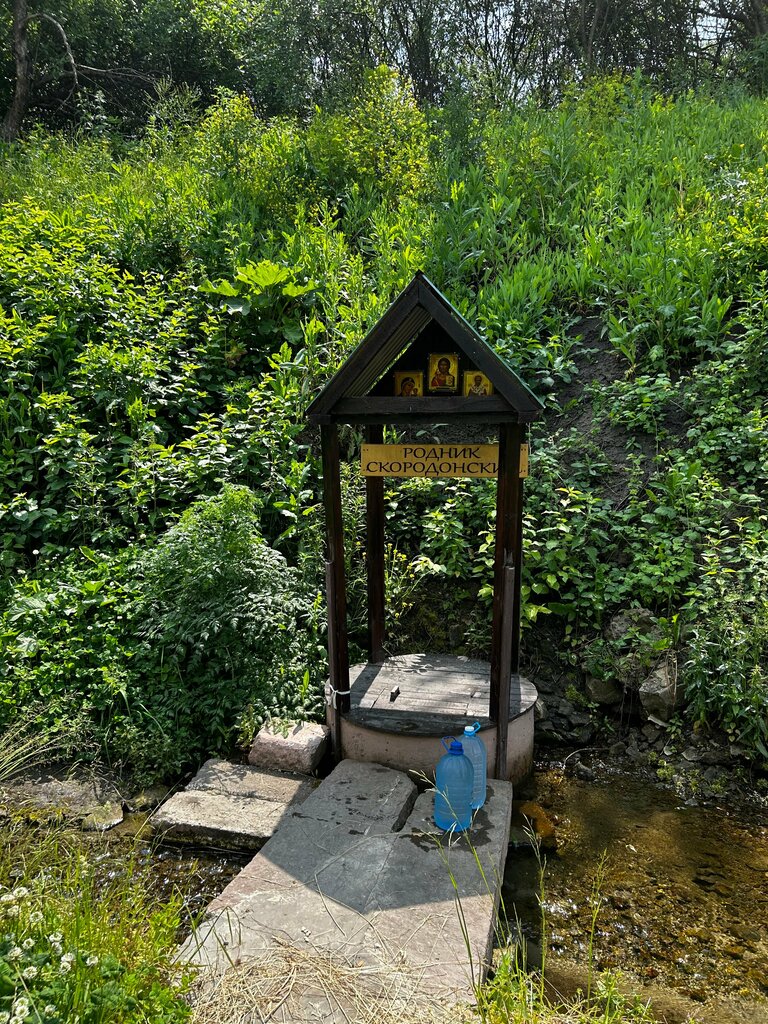 Pınar, çay Скородонский родник, Penzenskaya oblastı, foto