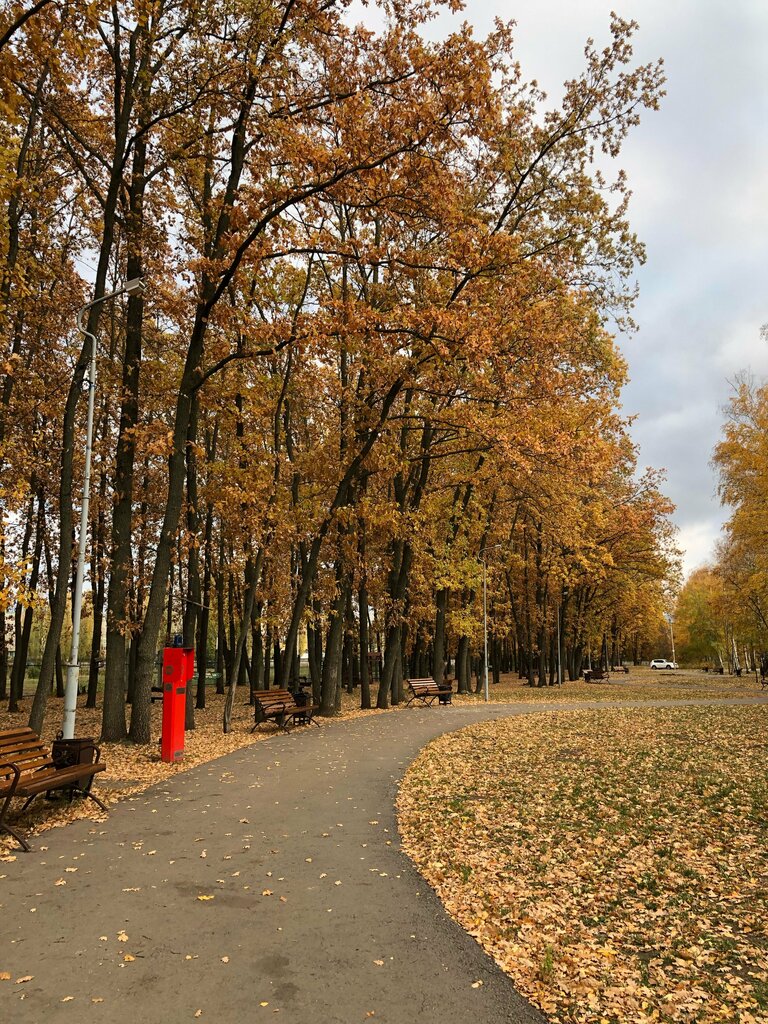 Meydan Oak Grove Public Garden, Lipetsk, foto