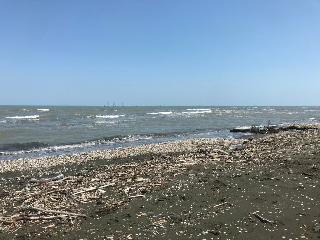 Plaj Plaj, Dünya, foto