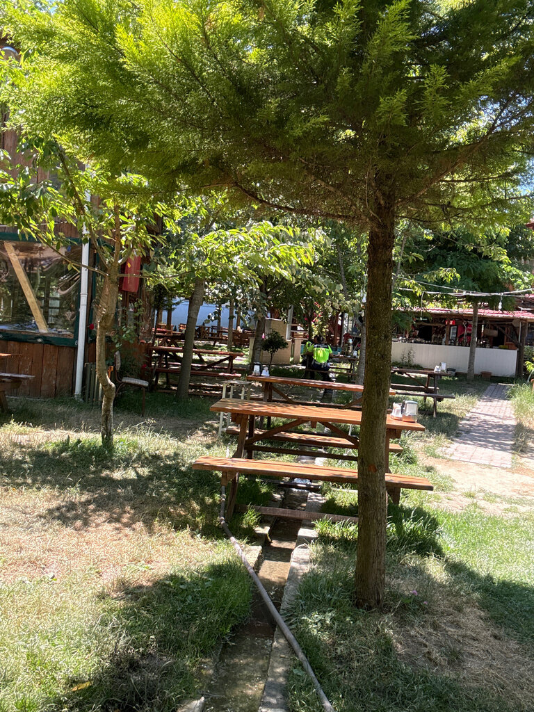 Restoran Dorukhan Alabalık Tesisleri, Devrek, foto