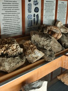 Музей палеонтологии Горной Мсты (Novgorod Region, Borovichskiy District, Zhelezkovskoye selskoye poseleniye), müzeler ve sanat galerileri  Novgorodskaya oblastından