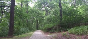 Park park Sobieskiego (Lower Silesian Voivodeship, Wałbrzych, Park park Sobieskiego), kültür ve eğlence parkları  Walbrzych'tan