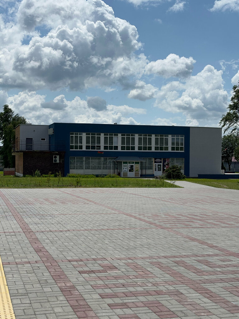 Mini-market Магазин смешанных товаров, Brestskaya oblastı, foto