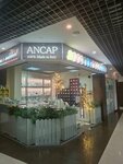 Ancap (Pionerskaya Street No:15к2), züccaciye mağazaları  Koroliov'dan