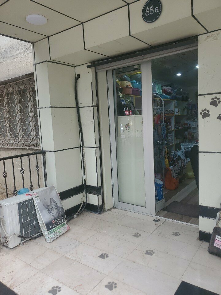 Petshop Zoo shop, Bakü, foto