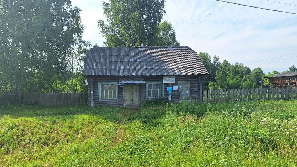 Mini-market Смешанные товары, Nijegorodskaya oblastı, foto