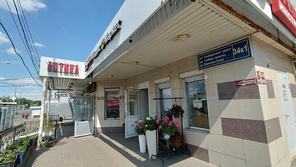 Tohum satan yerler Семена, Kazan, foto