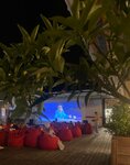 Sky Cinema (Primorskaya Street No:3/12, Tsentralniy Microdistrict), sinemalar  Soçi'den