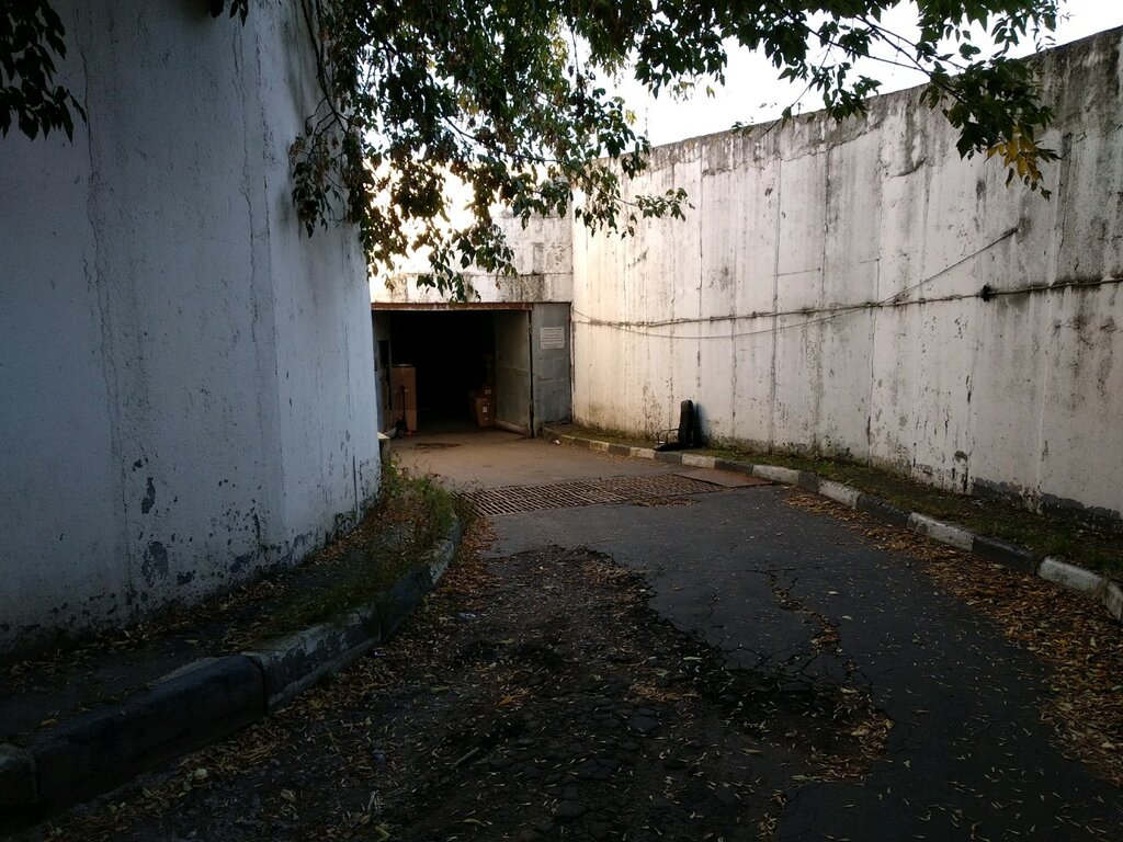 Çocuk oyunları ve oyuncakları TNG Igrushki, Moskova, foto