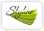 SkyLine (ulitsa Kommunistov No:50с20), tavan sistemleri  Petrozavodsk'tan