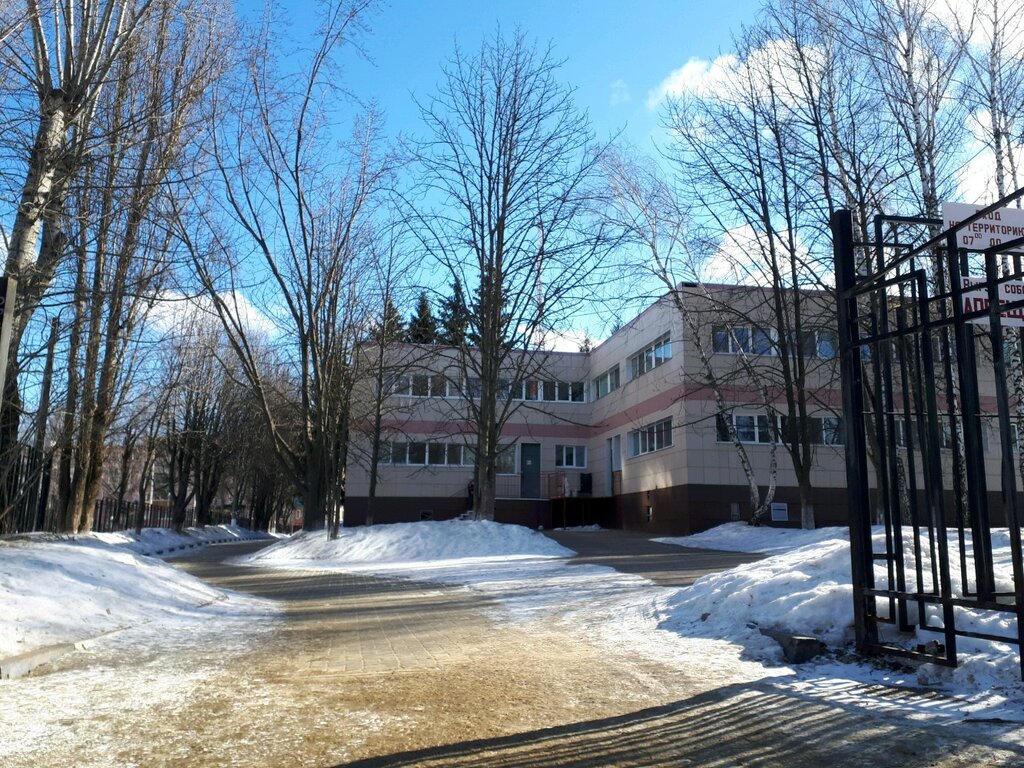 Lise Litsey № 10, nachalnaya shkola, Belgorod, foto