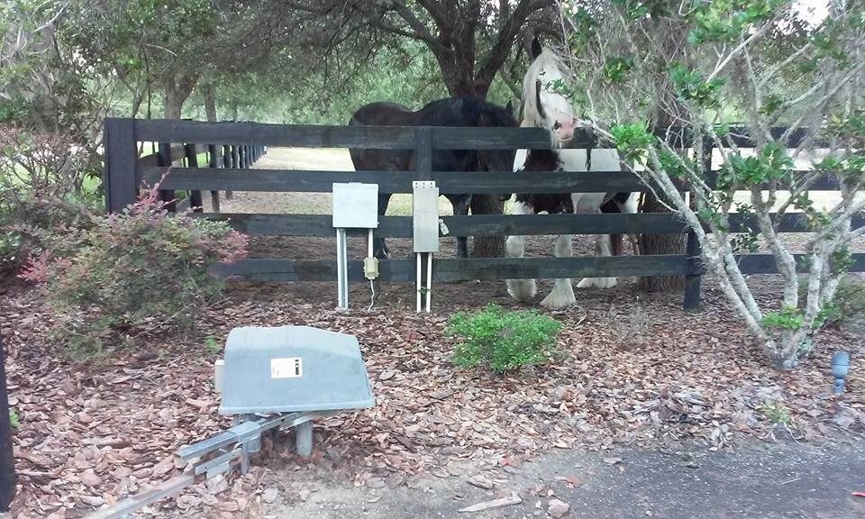 Kaynak işleri 352 Gates, LLC, Florida Eyaleti, foto