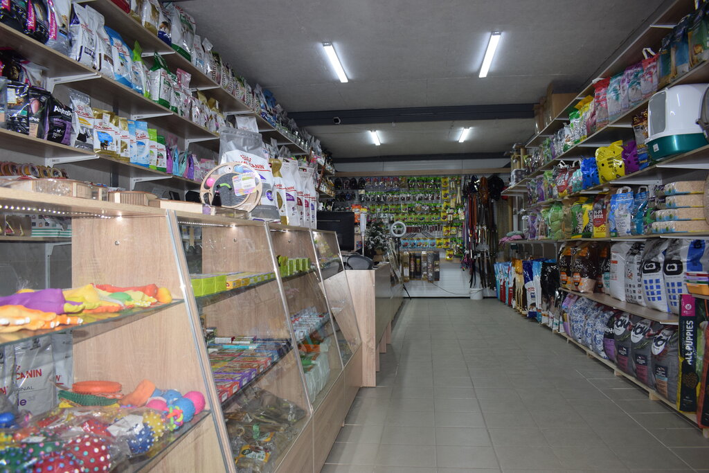 Petshop Gav&meow, Moskova ve Moskovskaya oblastı, foto