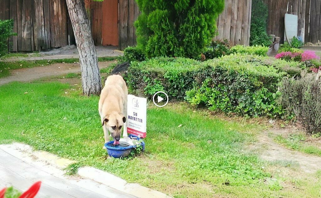 Kültür ve eğlence parkları Sabri Akpınar Parkı, İstanbul, foto
