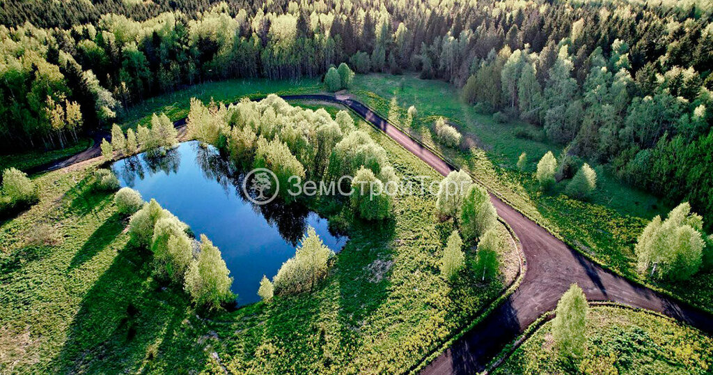Yazlık yerleşim Yarkoe, Moskova ve Moskovskaya oblastı, foto