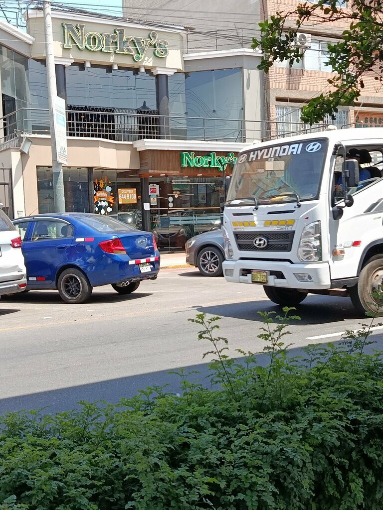 Kanatlı hayvan ürünleri ve yumurta Norkys, Lima, foto