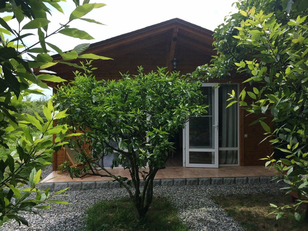 Konuk evi Экодомик Манэ, Gagra Bölgesi, foto