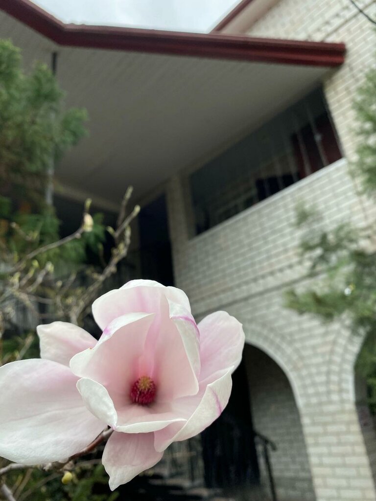 Otel Сакура, Gelencik, foto