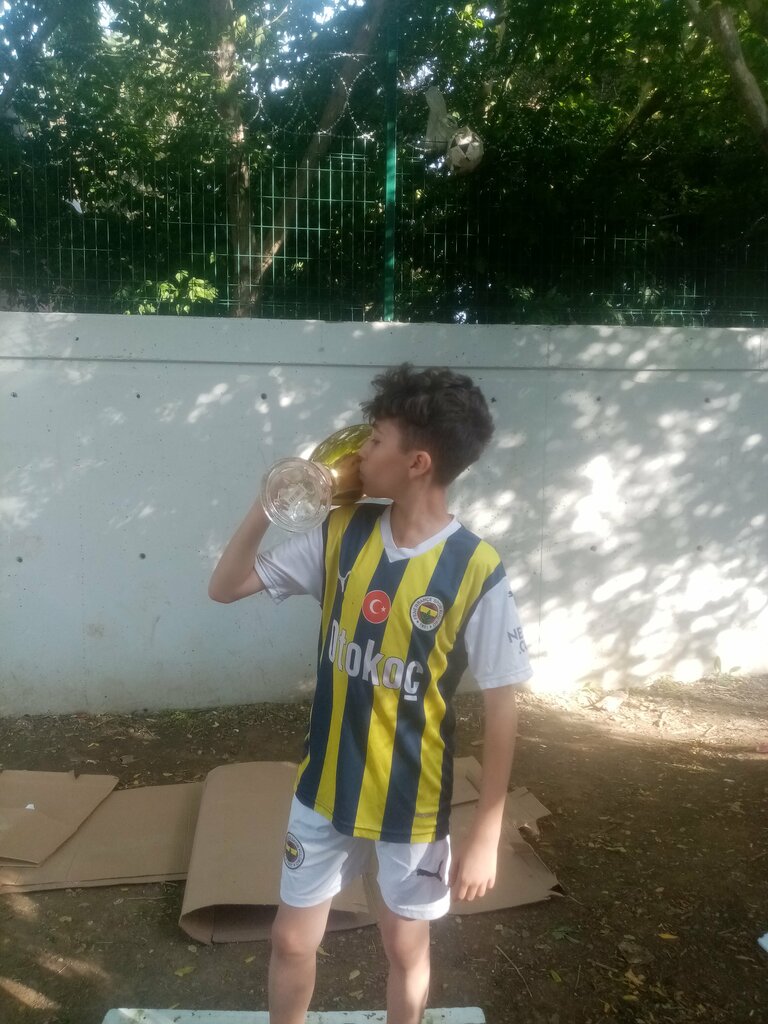 Spor kulüpleri Ormancik Arena, İstanbul, foto